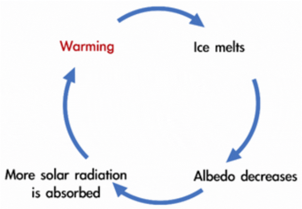 Climate Tipping Points Explained for Risk Professionals